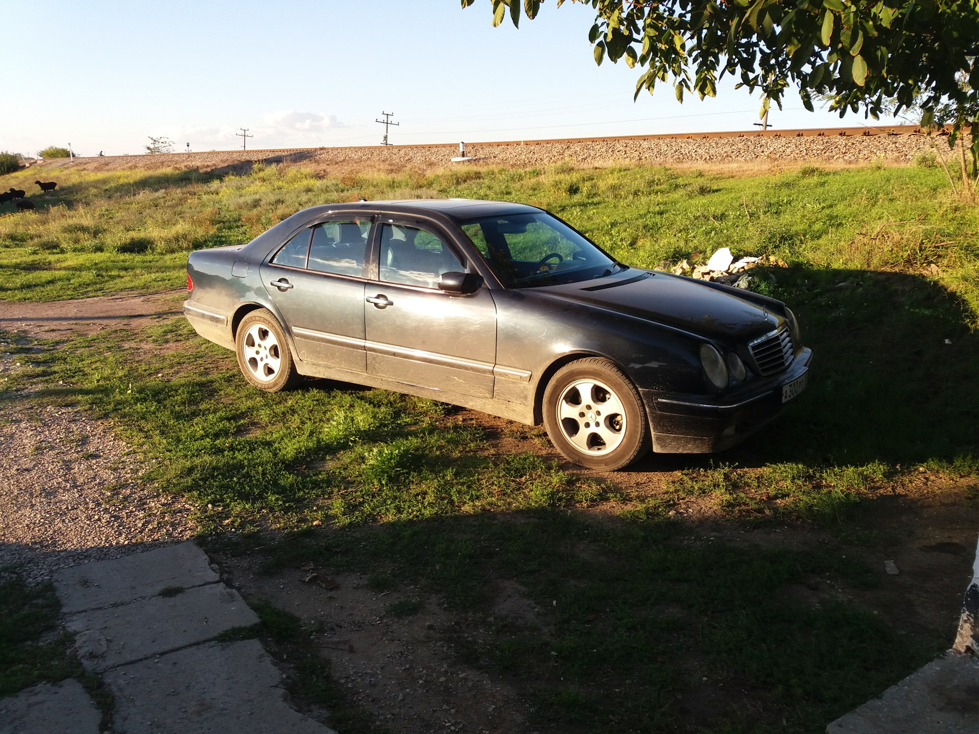 Mercedes Benz w210 e270 #2 — Mercedes-Benz E-Class (W210), 2,7 л, 2002 ...