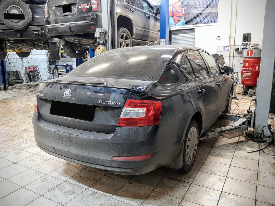 Ремонт коробки DSG Skoda Octavia — ZF-Expert на DRIVE2