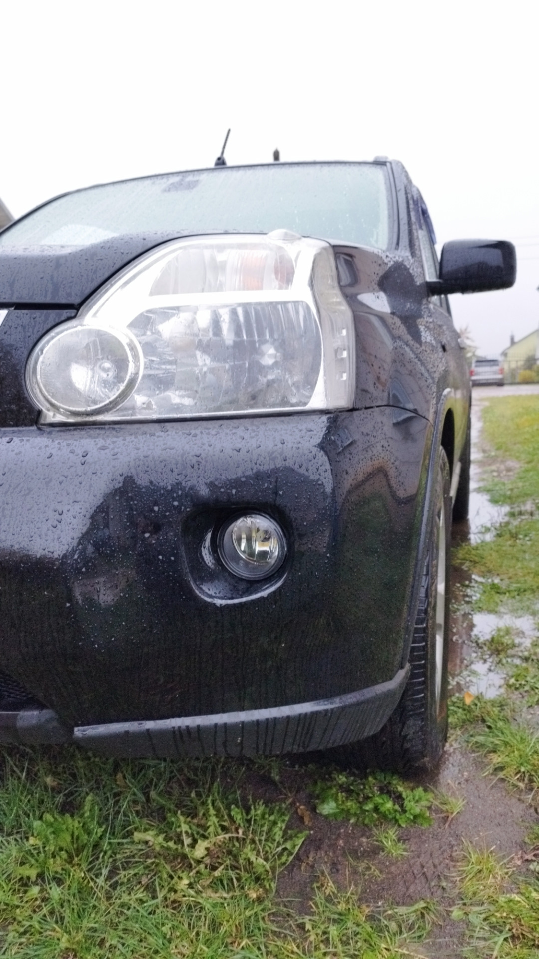 Полировка ПТФ. — Nissan X-Trail II (t31), 2 л, 2008 года | своими ...