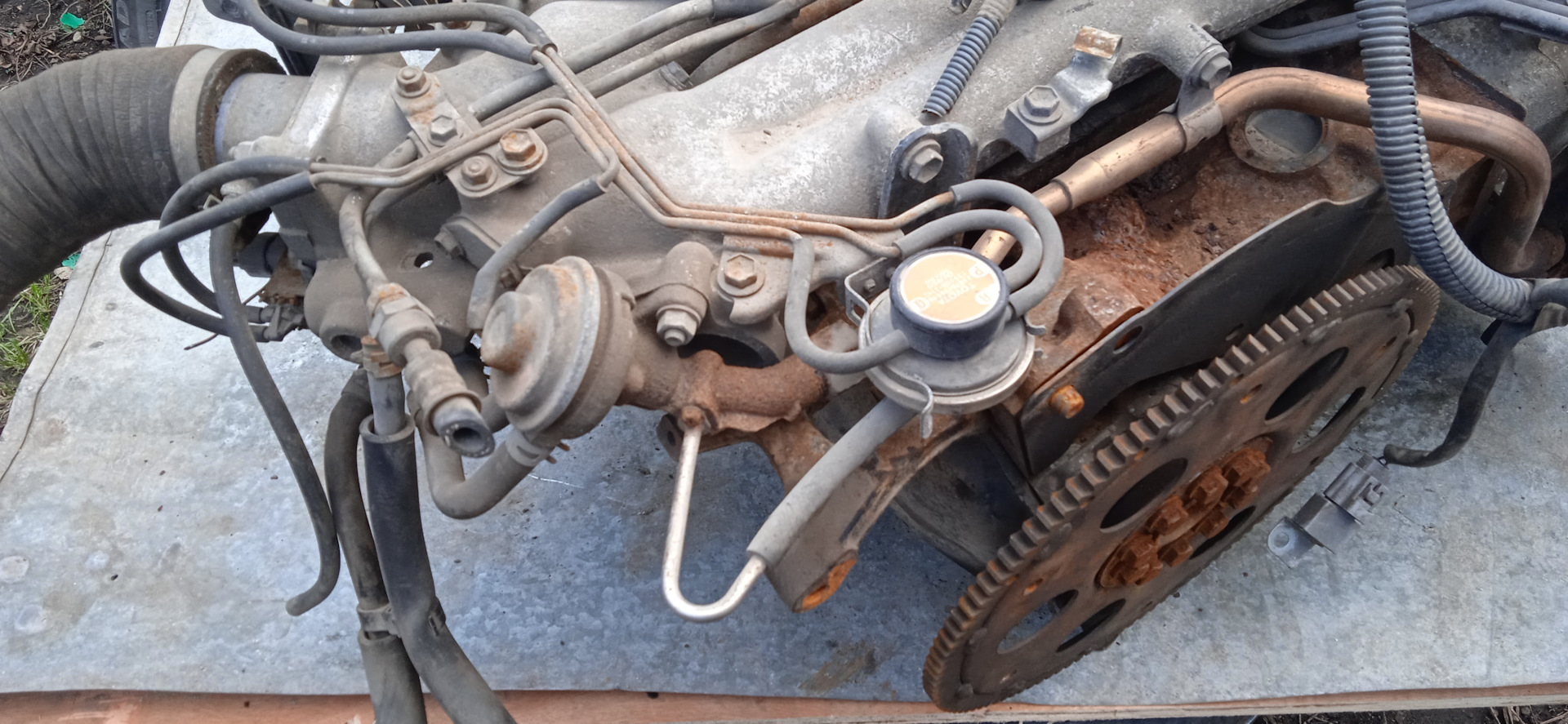 Новое "сердце" 2TZ-FZE — Toyota Estima (I), 2,4 л, 1999 года | запчасти ...