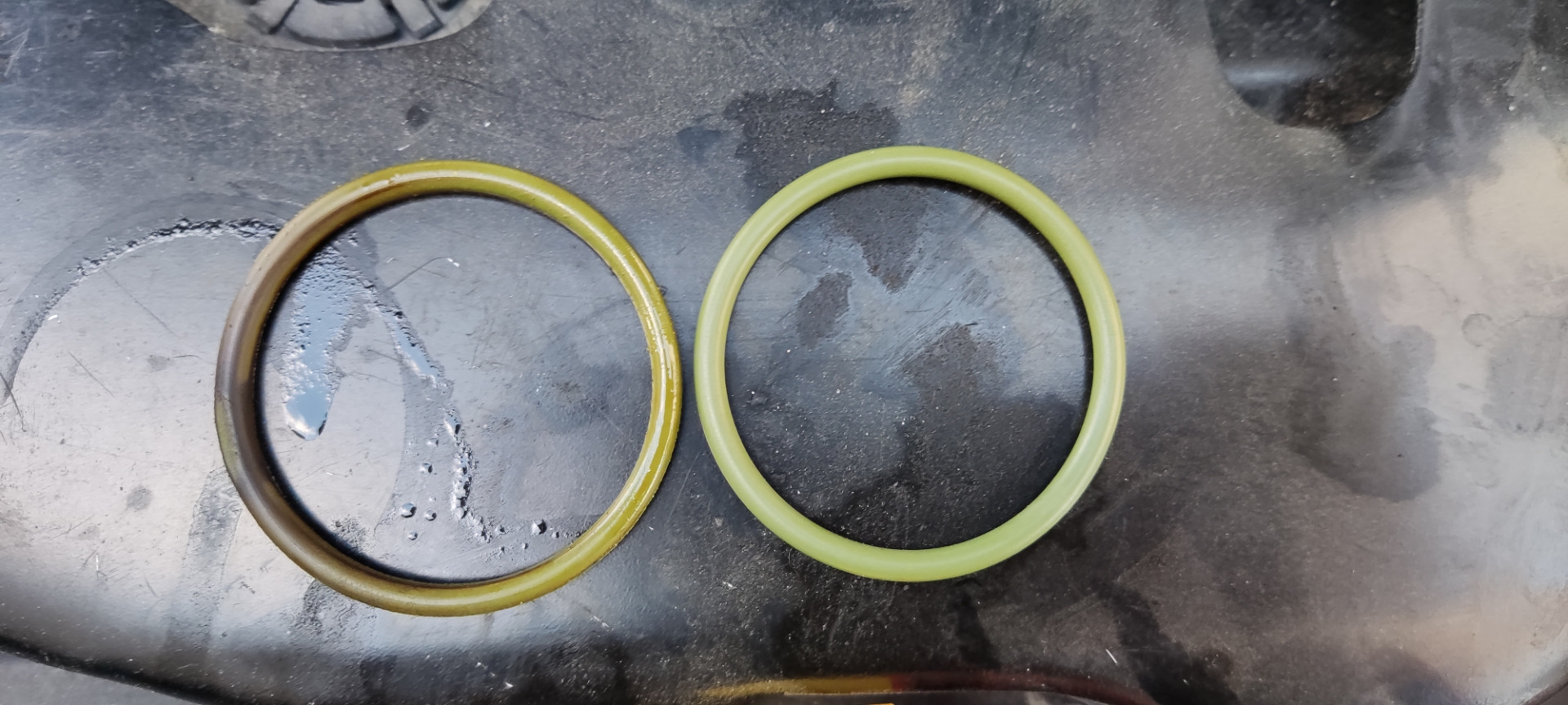 Запах масла. — BMW 5 series (F10), 2 л, 2015 года | запчасти | DRIVE2