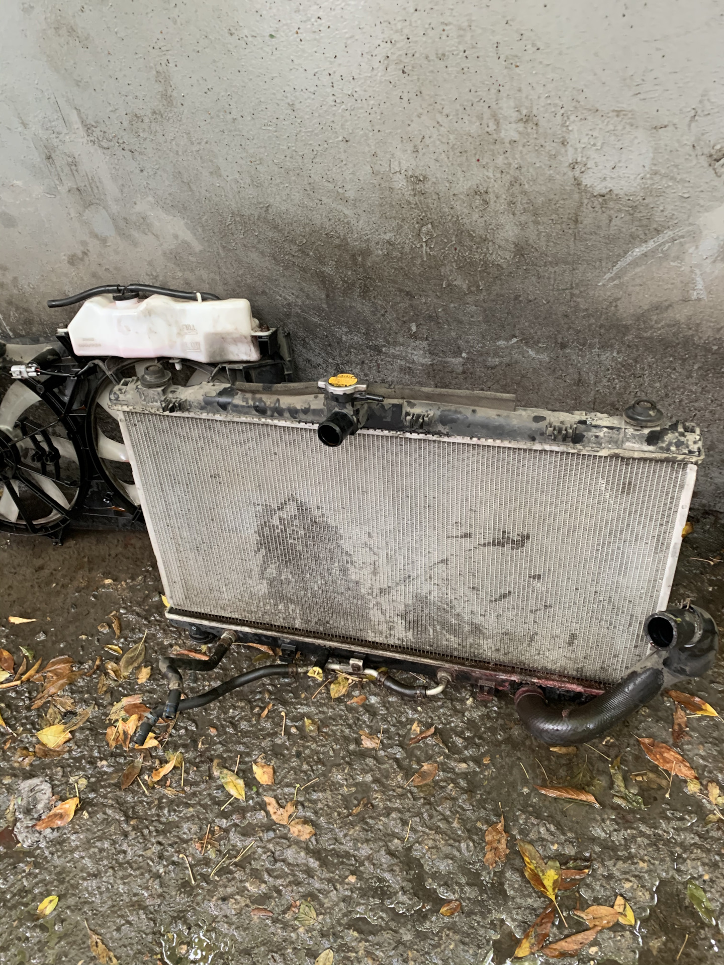 Радиатор охлаждения замена — Toyota Camry (XV50), 2,5 л, 2014 года ...