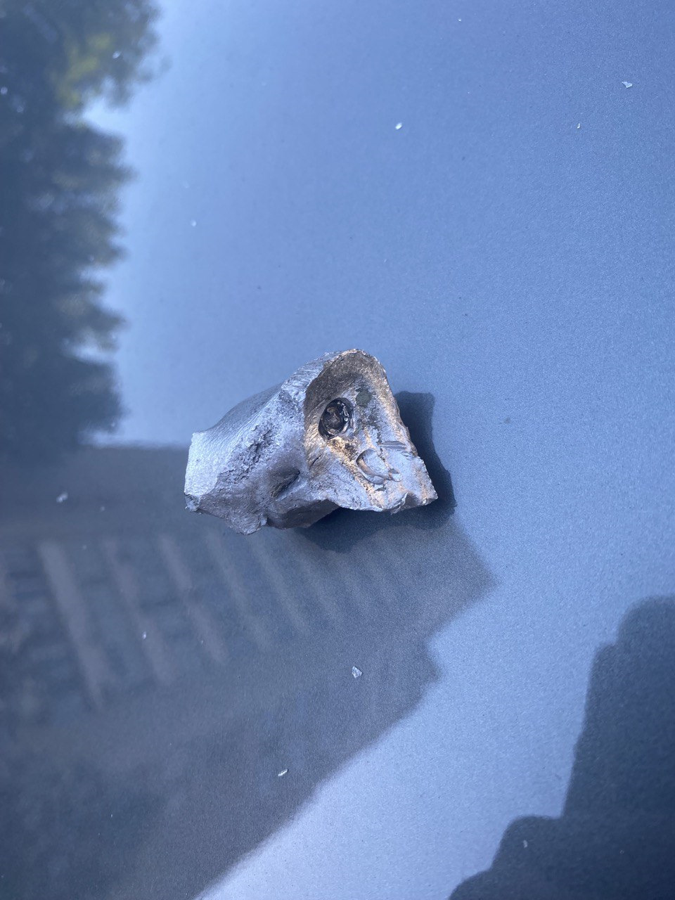 Замена заднего стекла + эмблема капота — BMW 7 series (E65/E66), 3 л ...