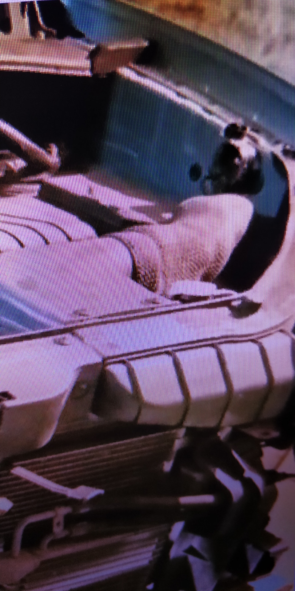 Запись, 20 февраля 2022 — DRIVE2