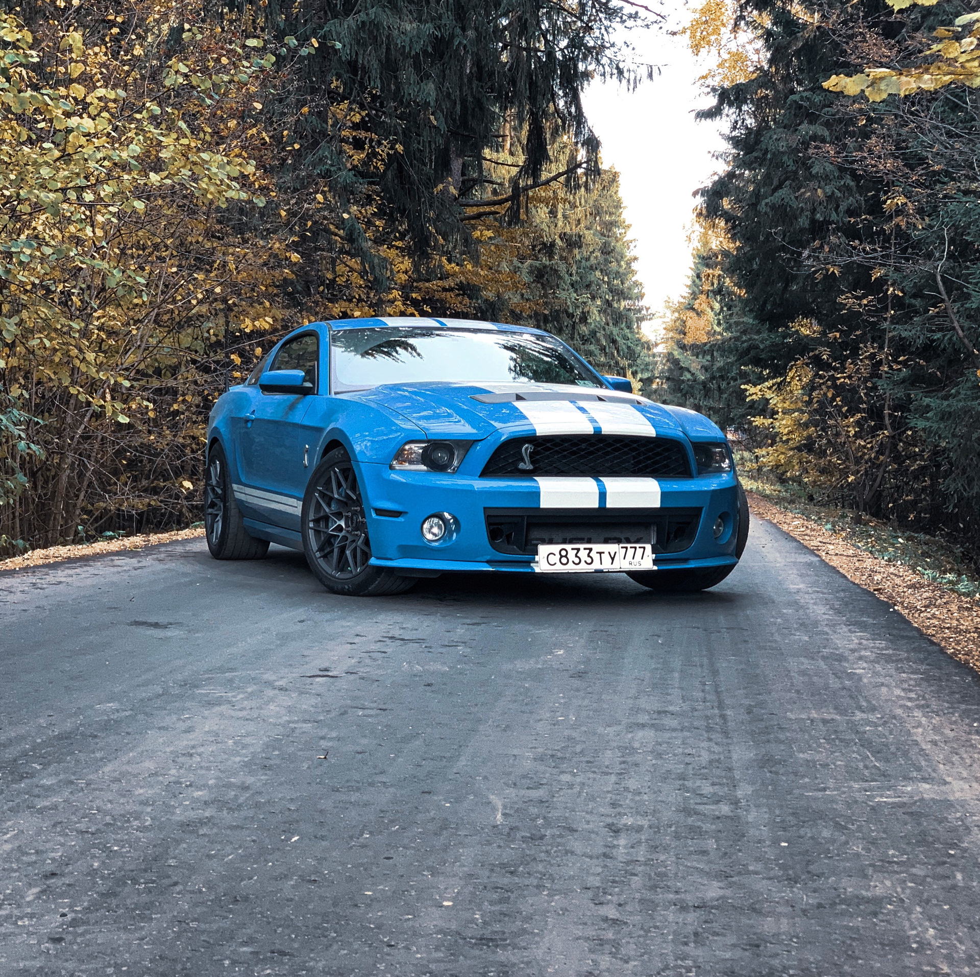Немного осенних фото😁 🏼 — Ford Mustang (5G), 5,4 л, 2010 года ...