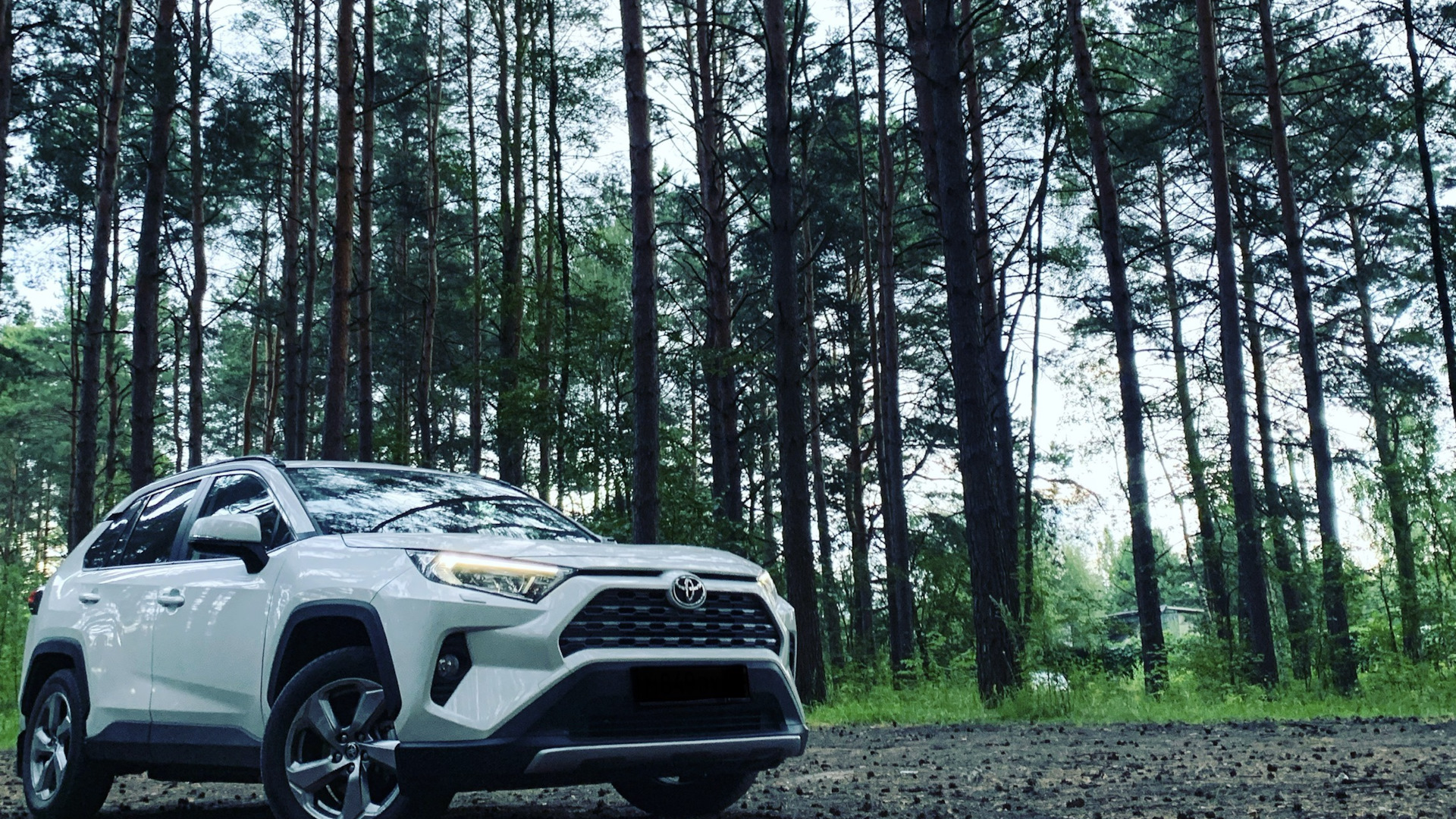 Toyota RAV4 (5G) 2.0 бензиновый 2020 | 2.0 CVT AWD на DRIVE2