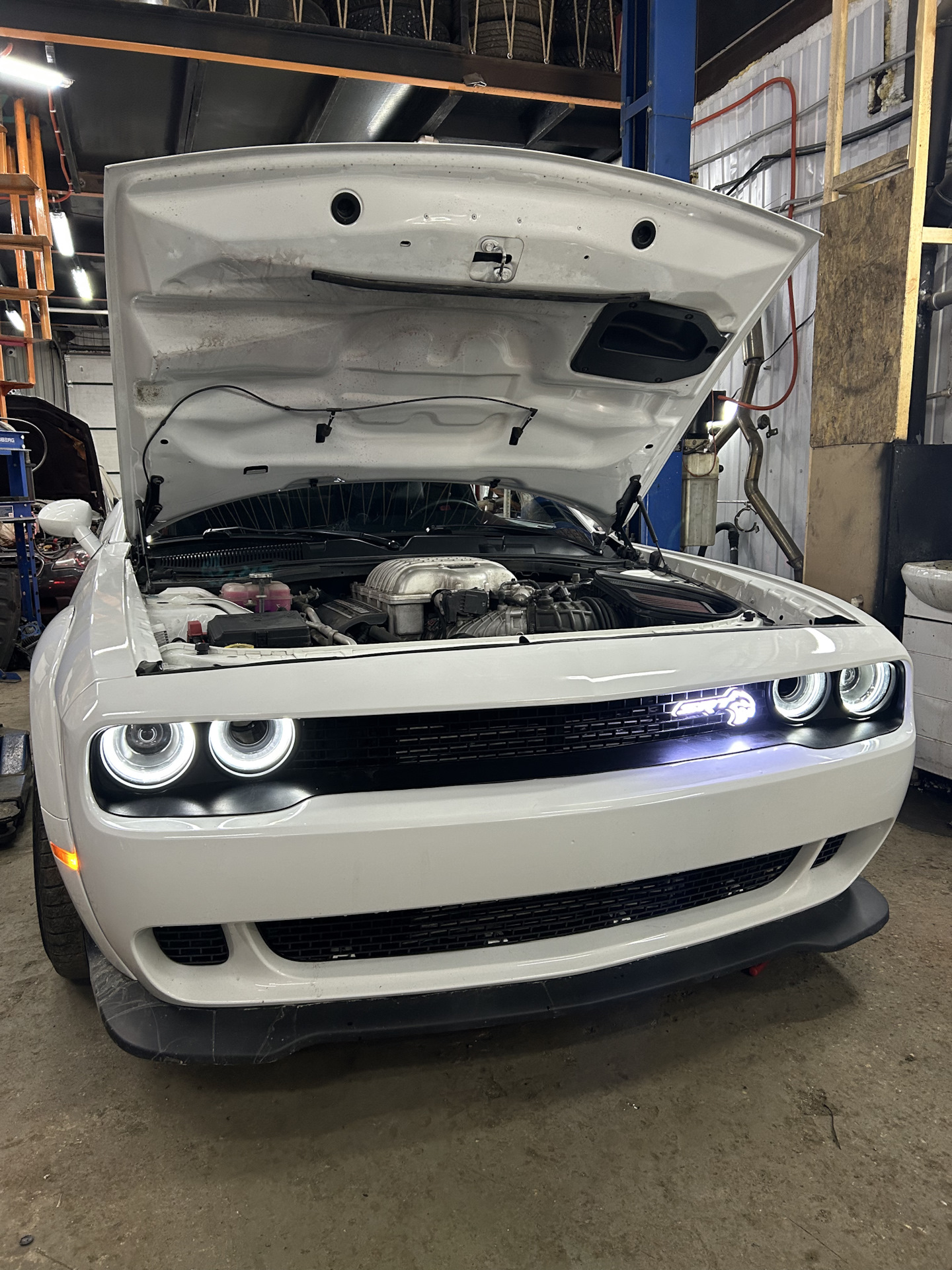 LED Hellcat logo — Dodge Challenger, 6,2 л, 2021 года | стайлинг | DRIVE2