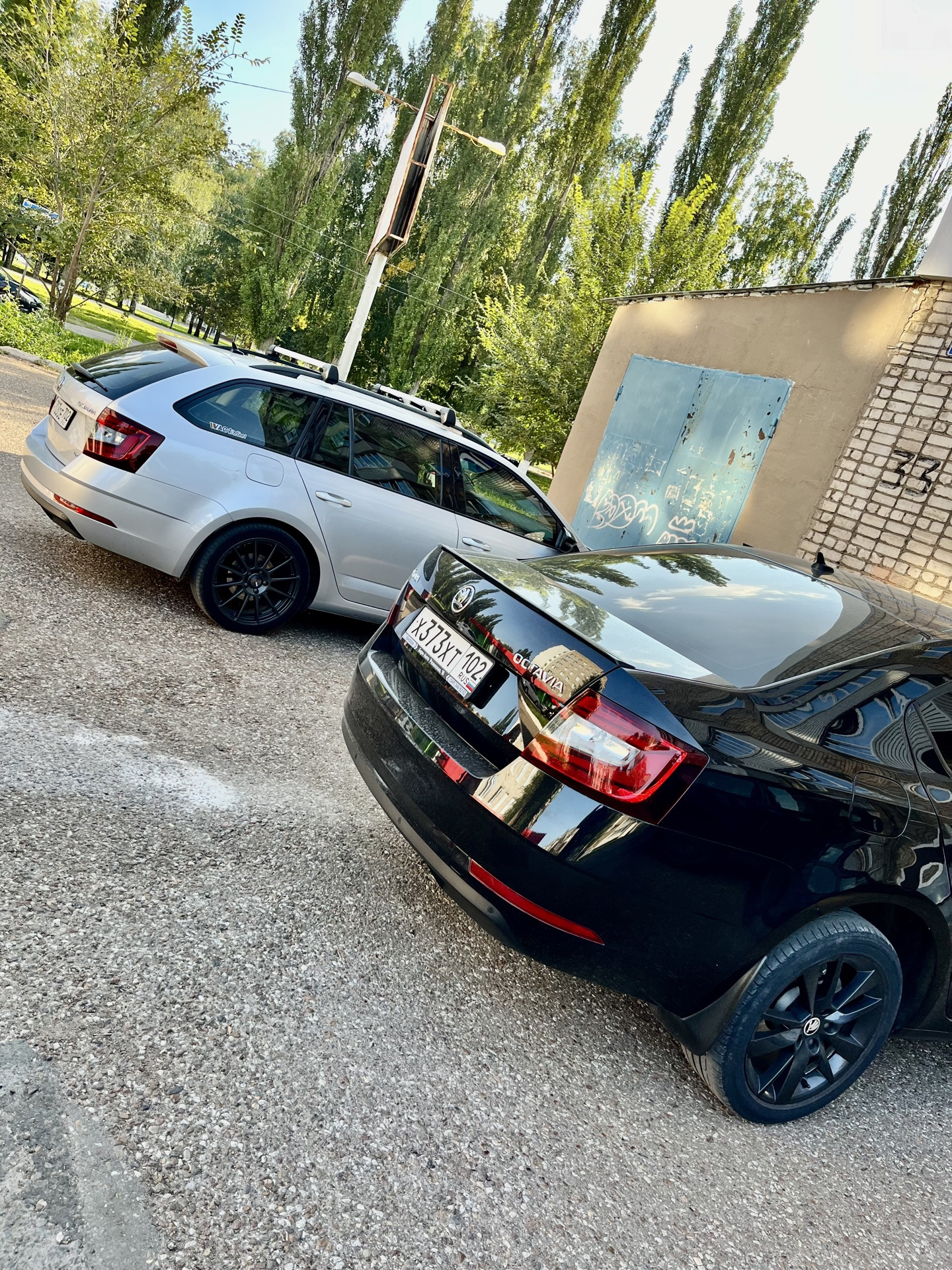 №18. Пополнение — Skoda Octavia Combi A7 Mk3, 1,8 л, 2018 года | покупка машины | DRIVE2