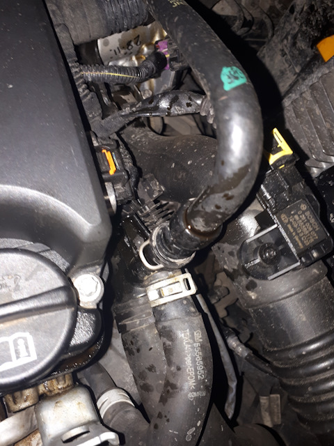 55565952 ШЛАНГ МАСЛООХЛАДИТЕЛЯ GM | Запчасти на DRIVE2