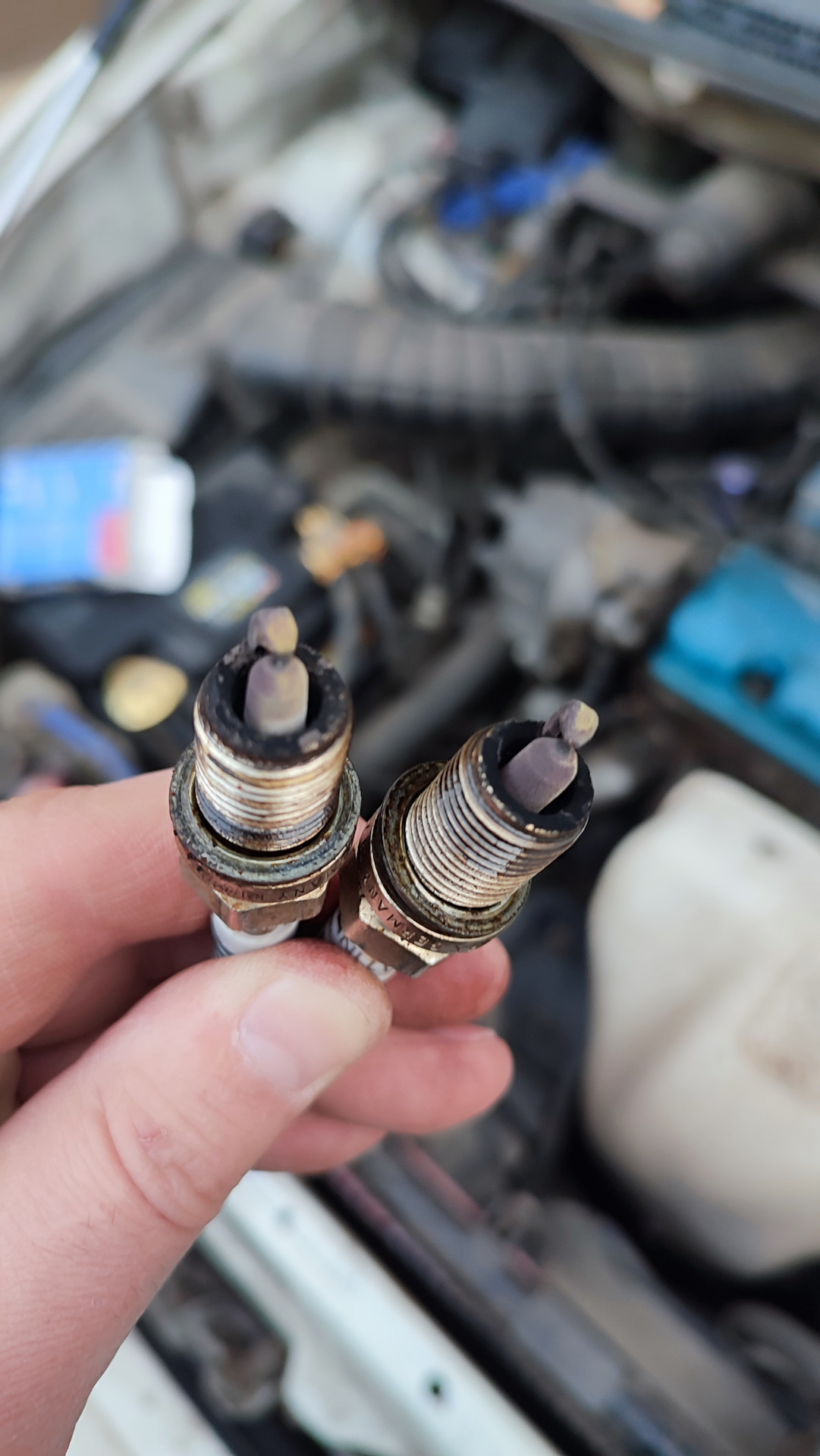 Свечи Torch — Honda Odyssey (1G), 2,3 л, 1997 года | расходники | DRIVE2