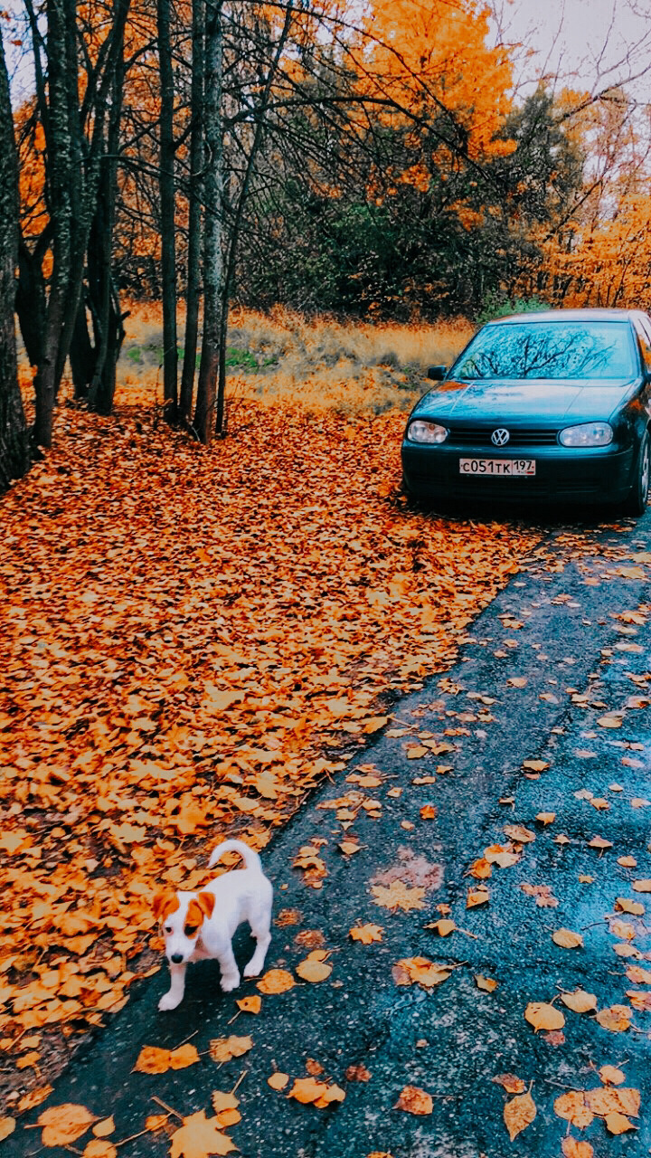 Запись, 7 января 2020 — DRIVE2