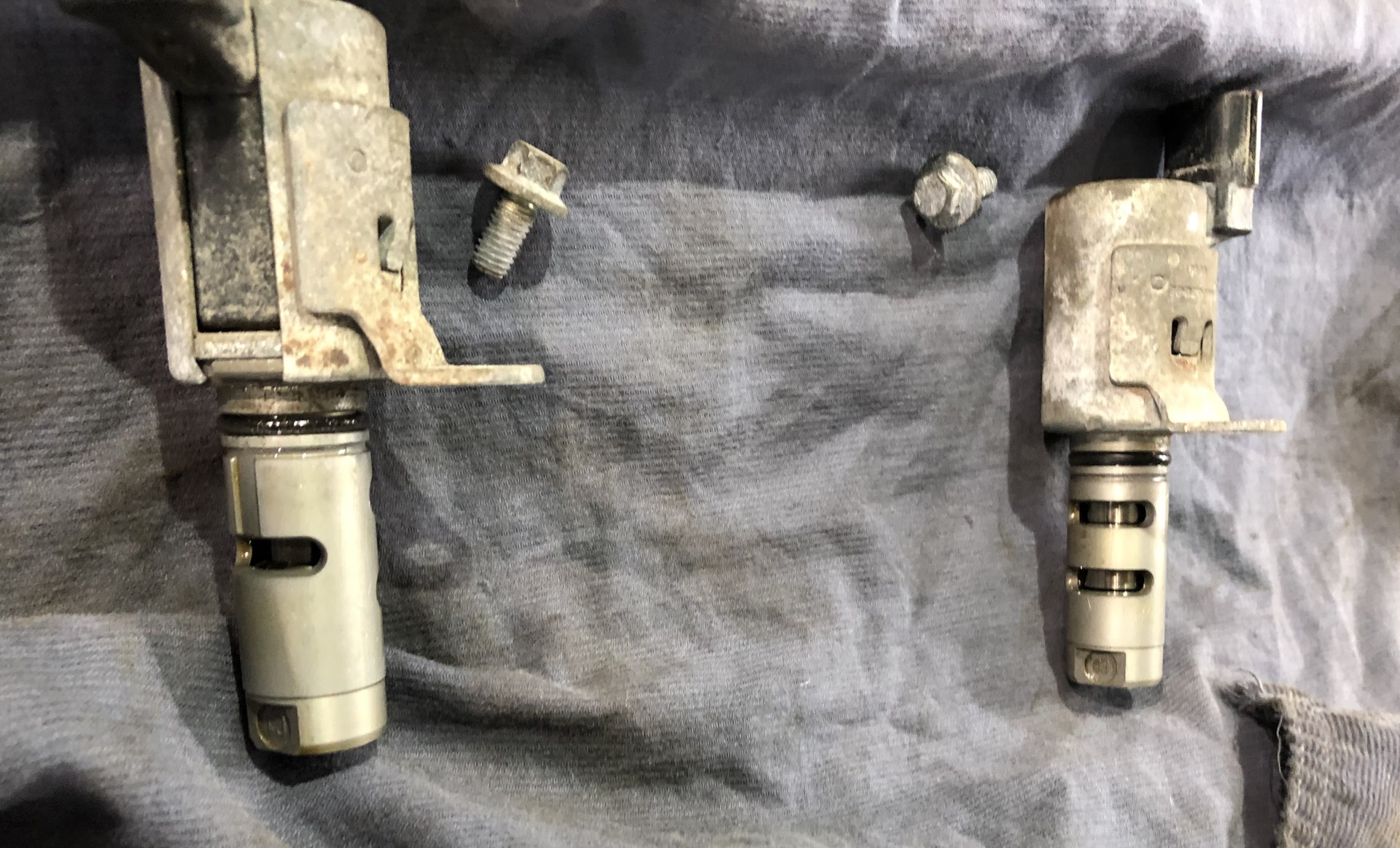 20. ГРМ Ford 2045356; — Ford Focus Hatchback III, 1,6 л, 2011 года ...