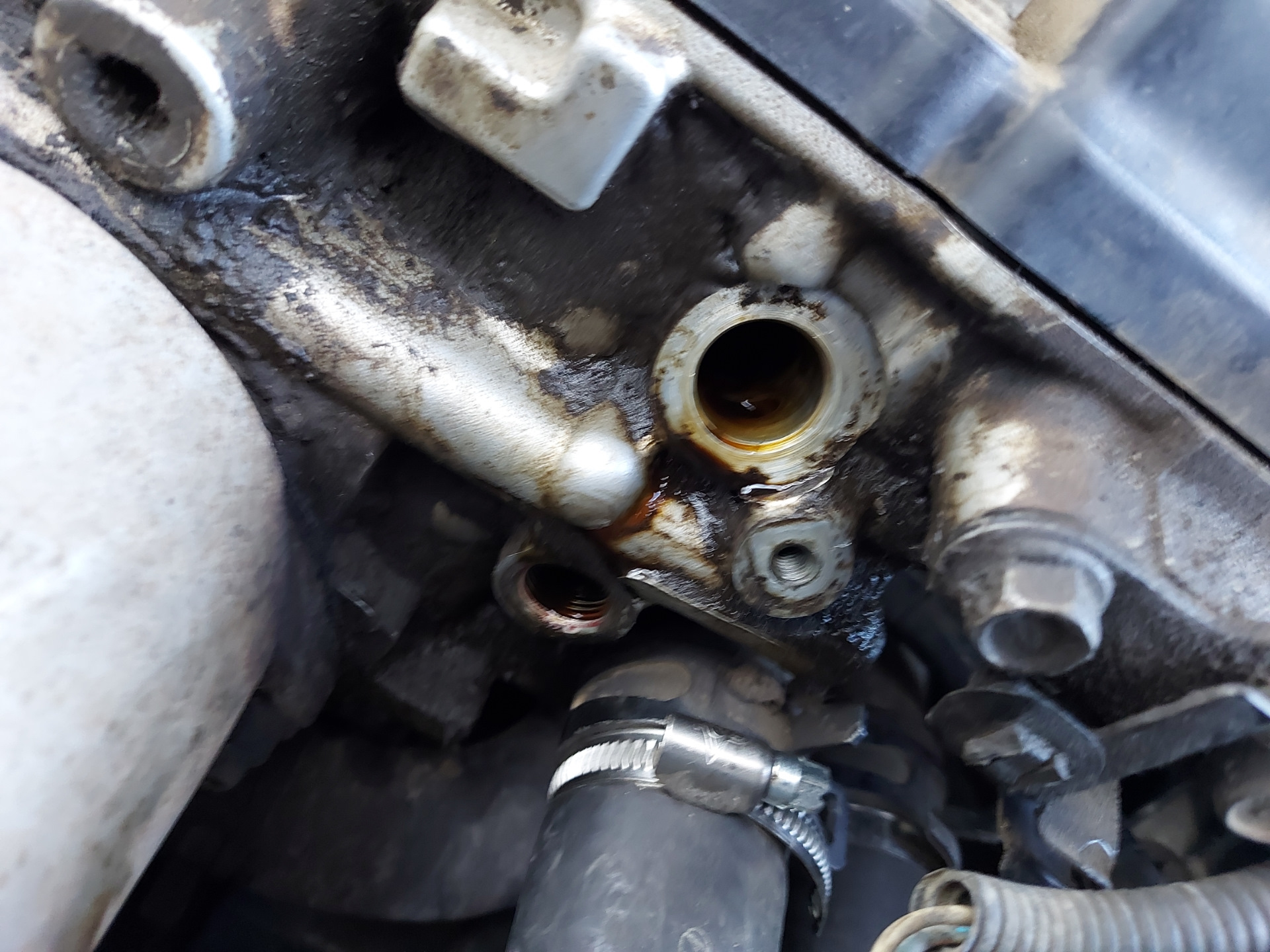 Устраняем течи масла и антифриза после зимы — Hyundai Tucson (JM), 2 л ...