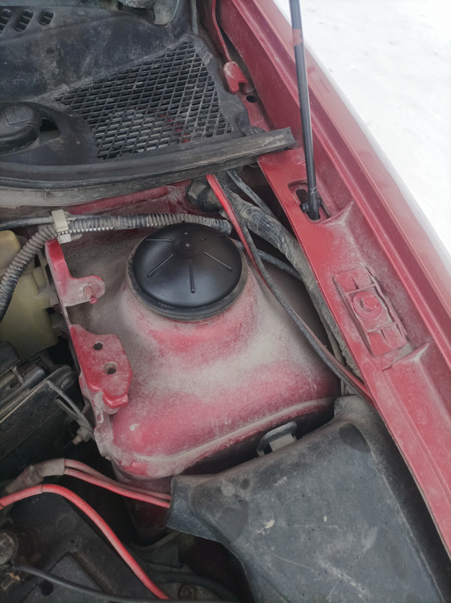 Пластиковая крышка гайки переднего амортизатора — Renault Symbol, 1,4 л ...