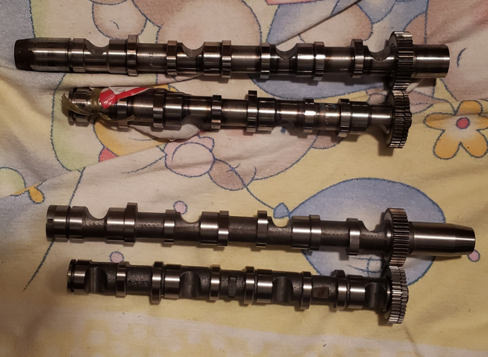 Пакуемся в профилакторий, большое ТО — Audi A6 (C5), 2,5 л, 2003 года ...