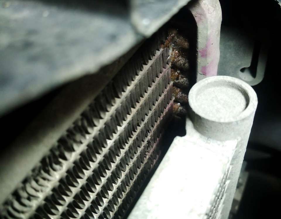 радиатор Luzar — Ford C-Max I, 1,8 л, 2005 года | запчасти | DRIVE2