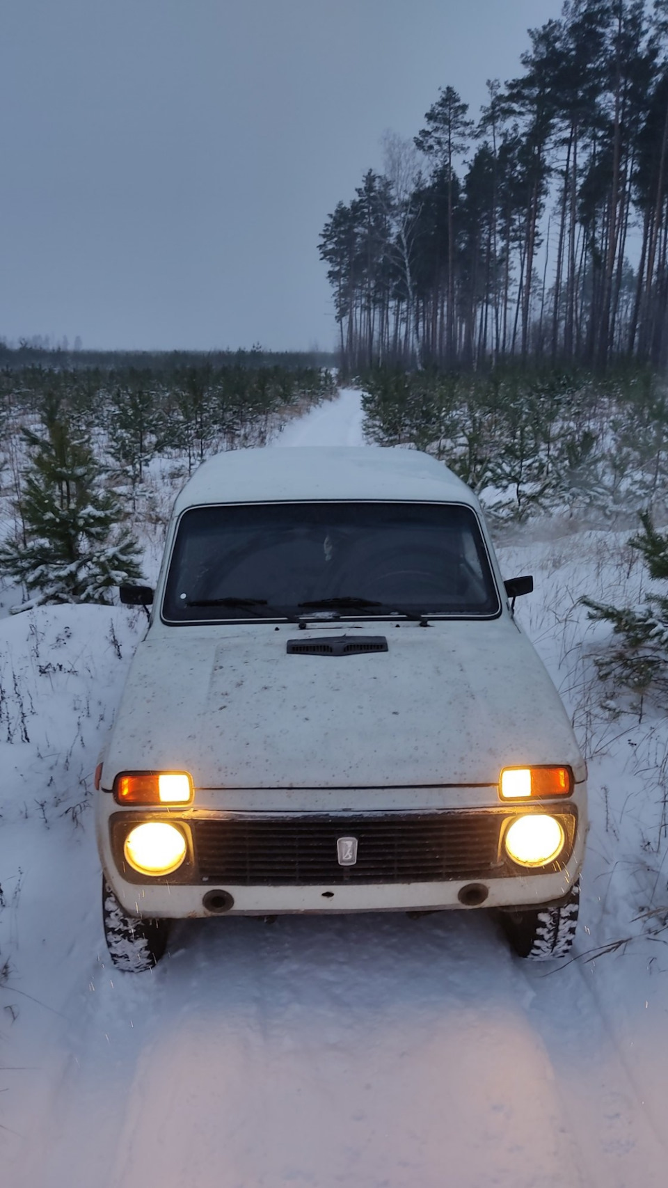 Ищу Вли 5 — Lada 4x4 3D, 1,6 л, 1986 года | шины | DRIVE2
