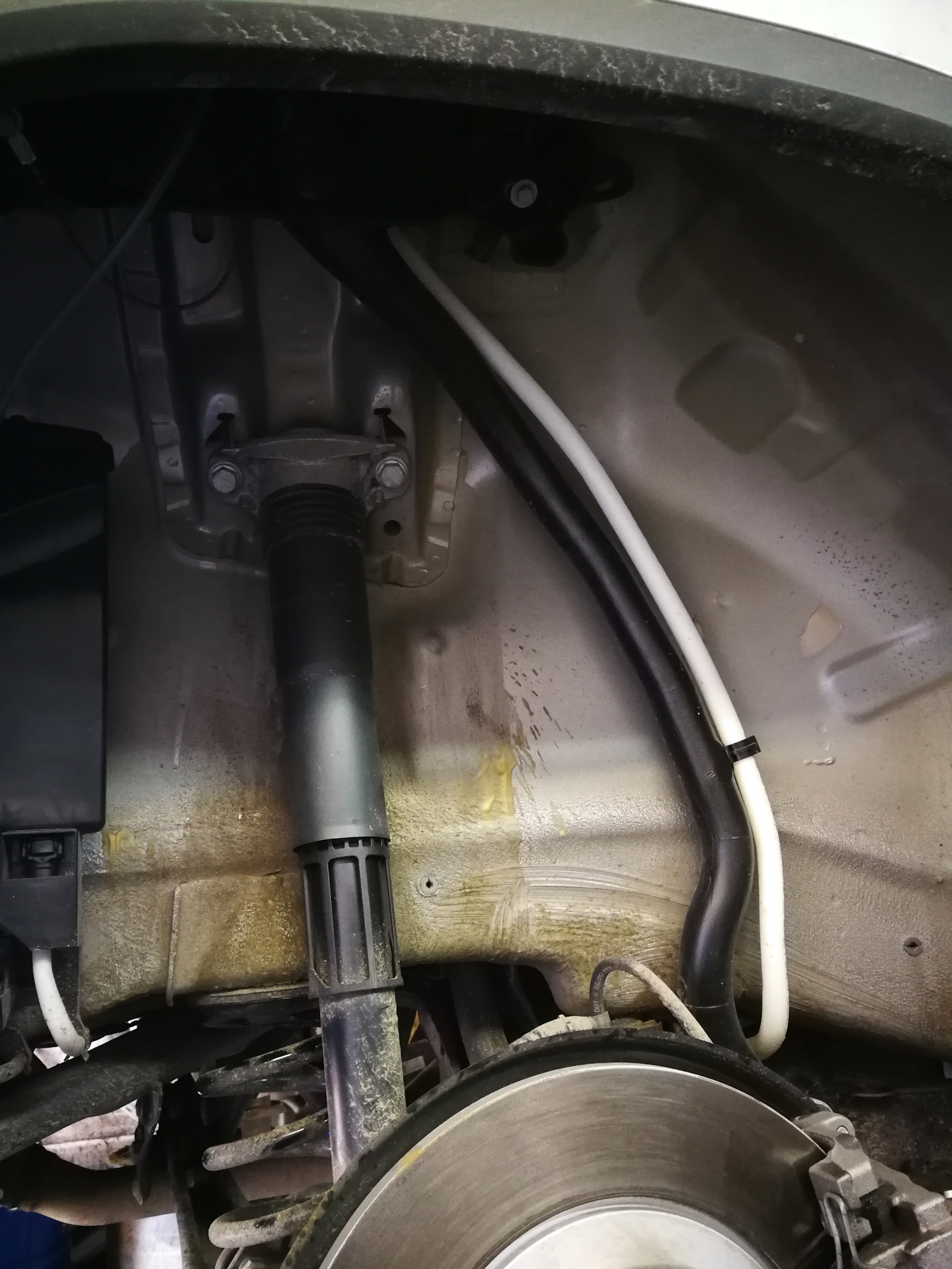 Антикоррозийная обработка кузова — Skoda Kodiaq (1G), 1,4 л, 2019 года ...