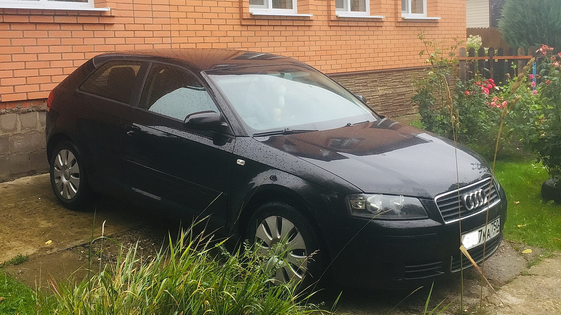 Audi A3 (8P) 2.0 бензиновый 2004 | 2.0 FSI Ambition на DRIVE2