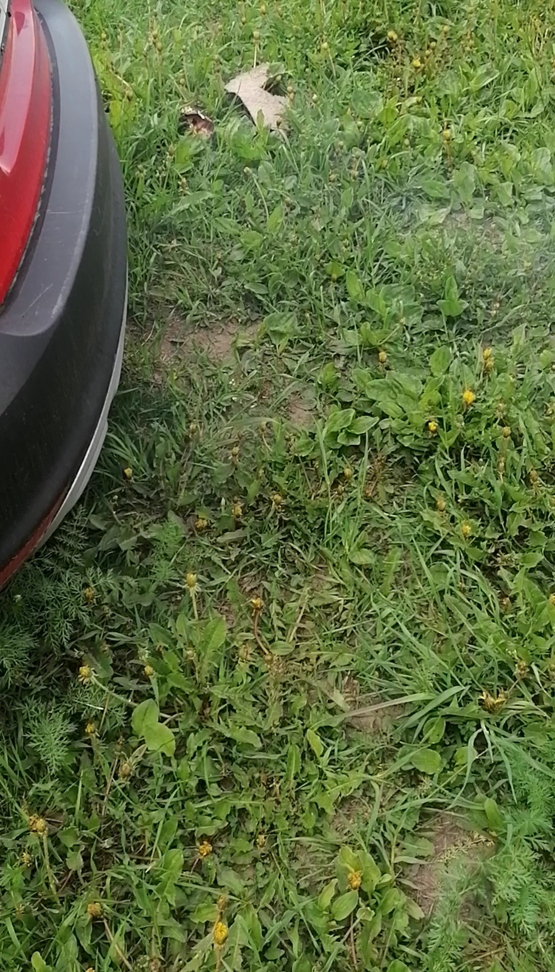 6. То на VAG-STAR. — Skoda Yeti, 1,2 л, 2011 года | визит на сервис ...