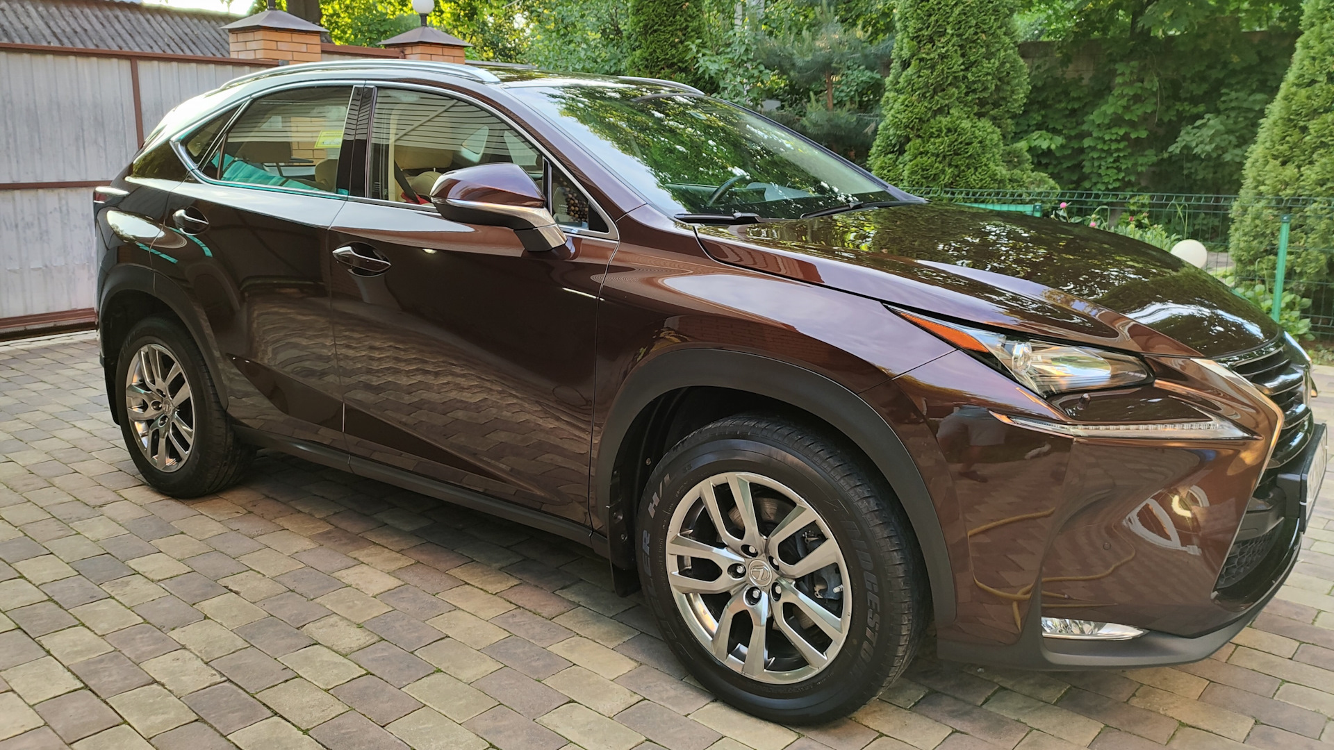 Lexus NX (1G) 2.0 бензиновый 2016 | 200 на DRIVE2