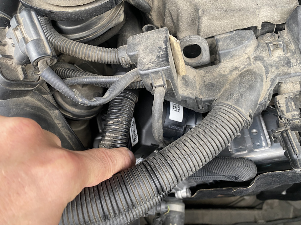 Визит к официалам — BMW 5 series (F10), 2 л, 2013 года | визит на ...