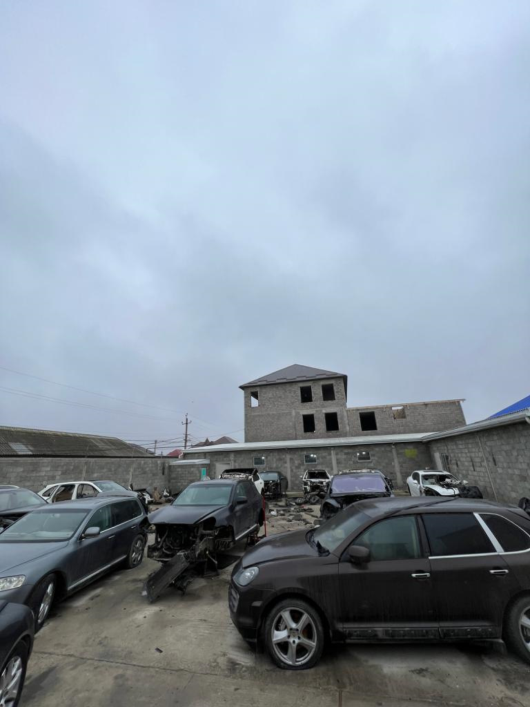 #porsche_696_: отзывы, цены, фото