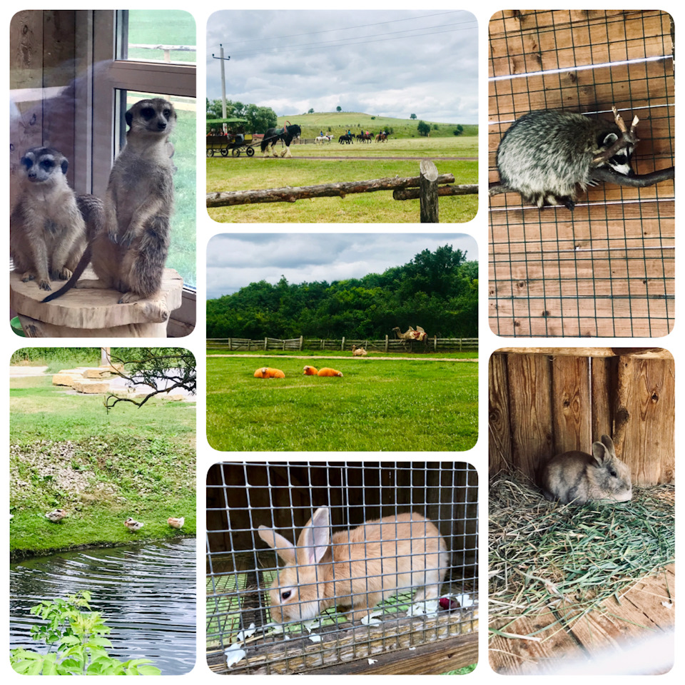 T701C КОМПЛЕКТ ПРОВОДОВ ЗАЖИГАНИЯ TESLA | Запчасти на DRIVE2