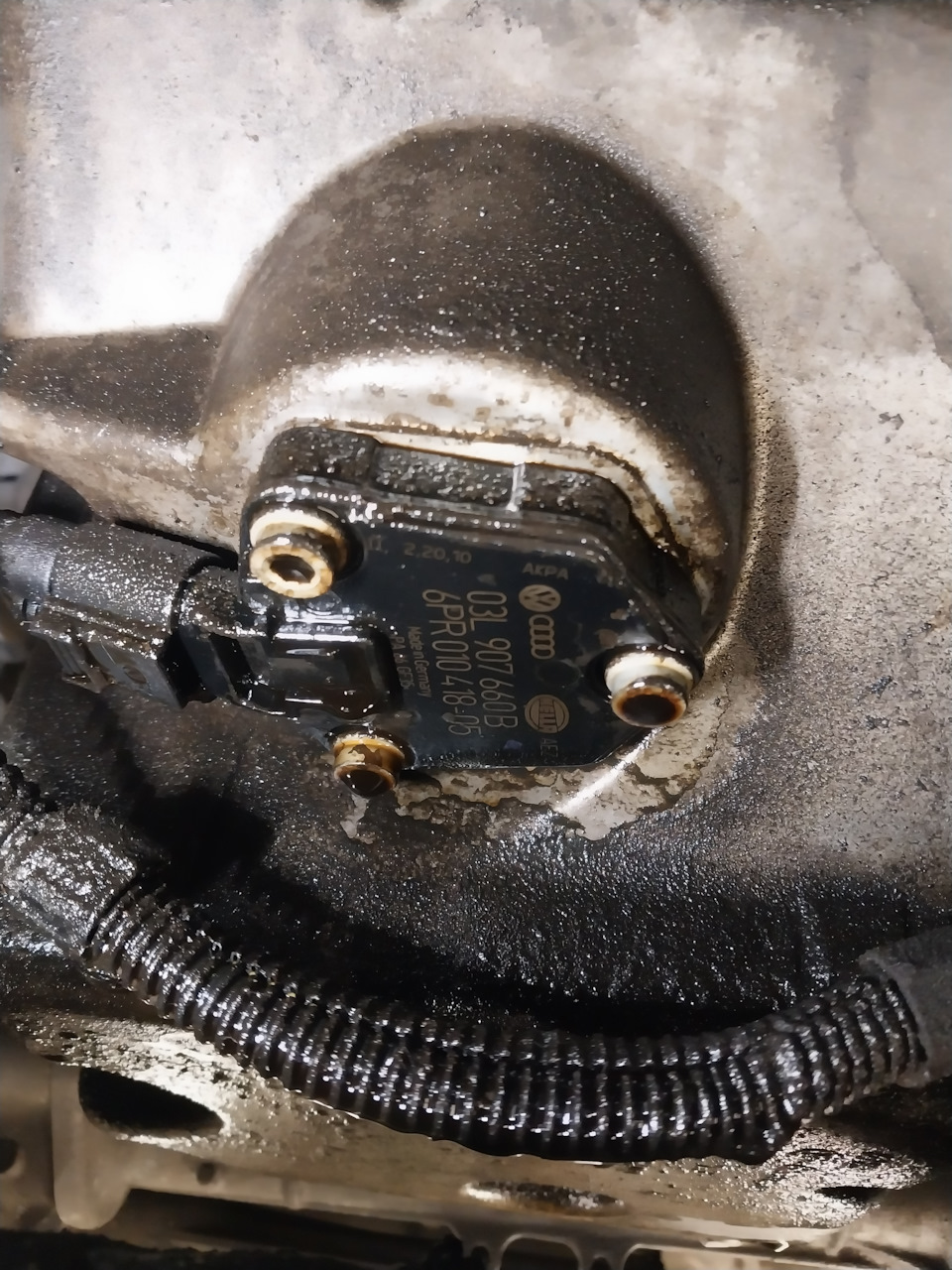 03L907660B Датчик уровня масла VAG | Запчасти на DRIVE2