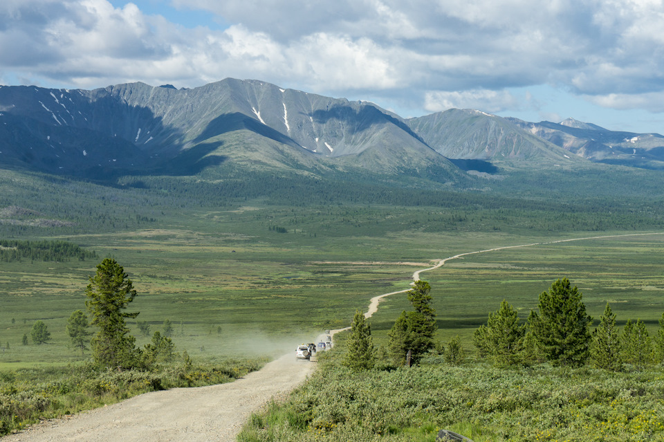 55567243 Датчик положения коленвала GM | Запчасти на DRIVE2