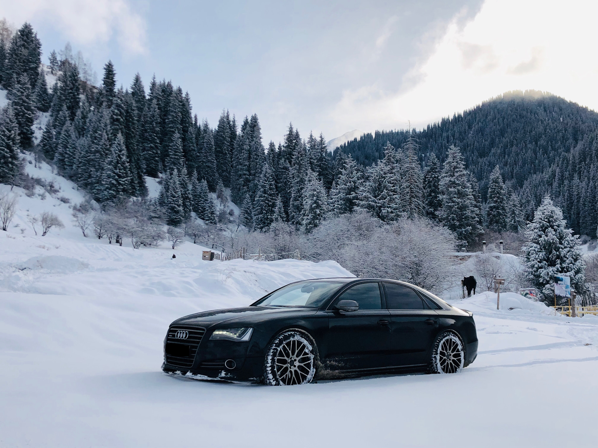 Фото — Audi A8 (D4), 4,2 л, 2010 года | фотография | DRIVE2