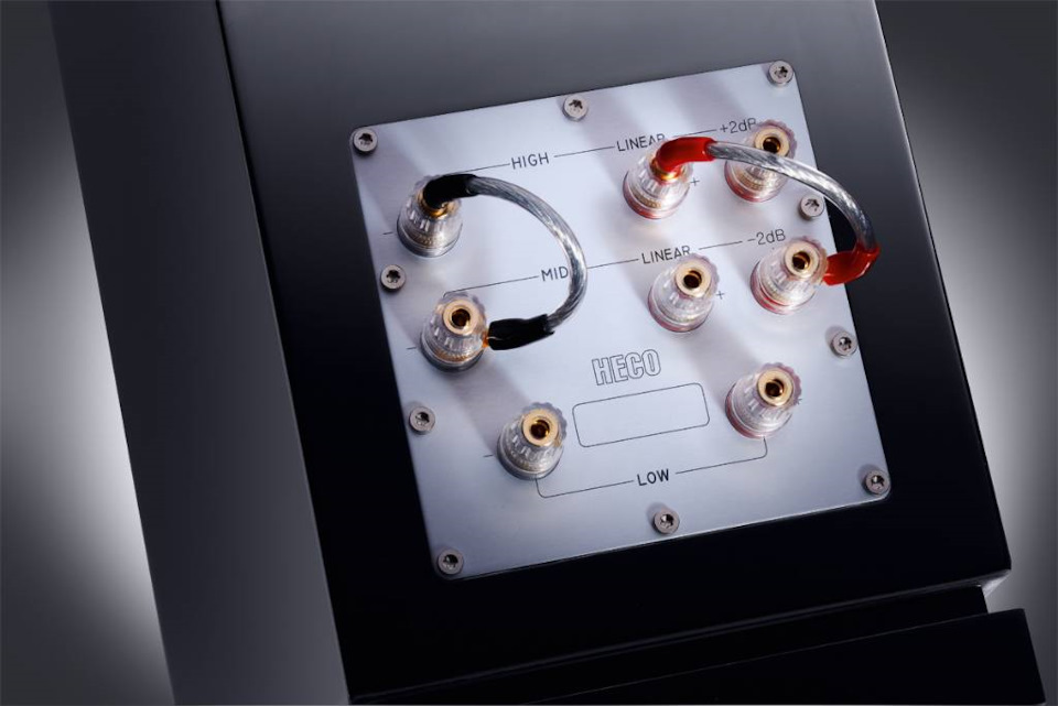 Tri-Wiring и Tri-Amping или можно ли подключить АС Technics со ...