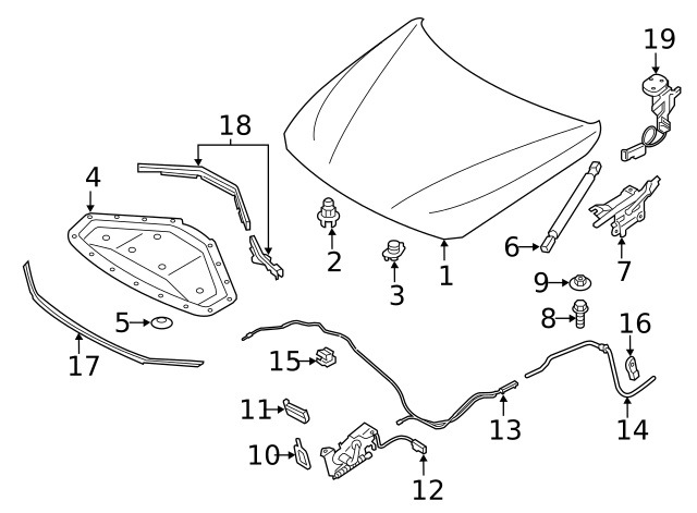 41617329532 капот BMW | Запчасти на DRIVE2
