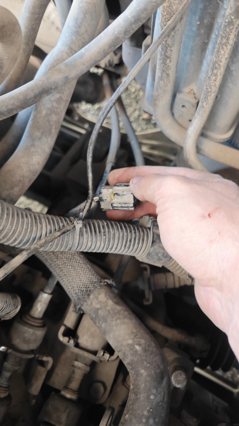 Разъем датчика скорости — Mitsubishi Lancer X, 2 л, 2008 года ...