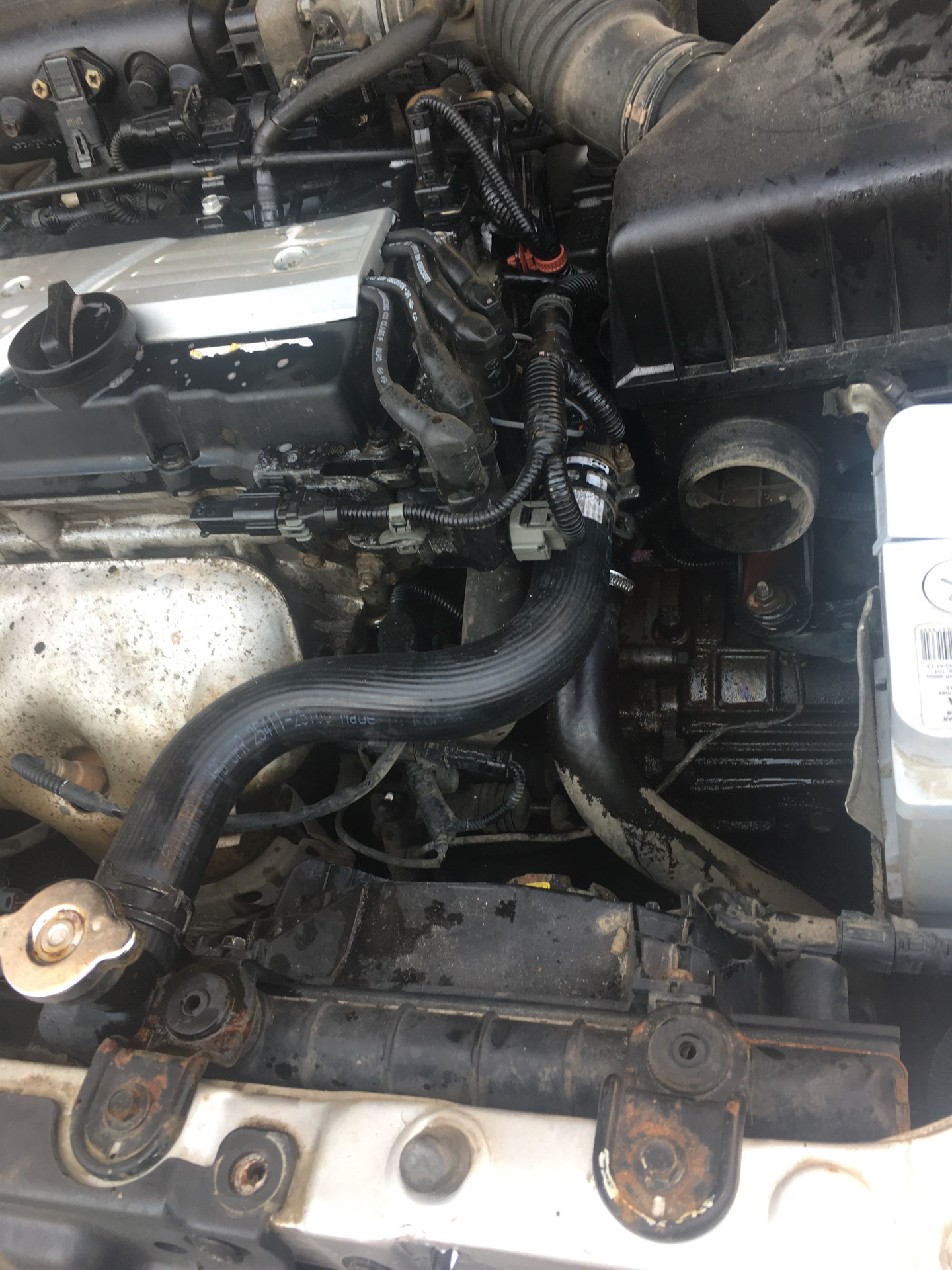 Замена верхнего патрубка системы охлаждения — Hyundai Accent (2G), 1,5 ...