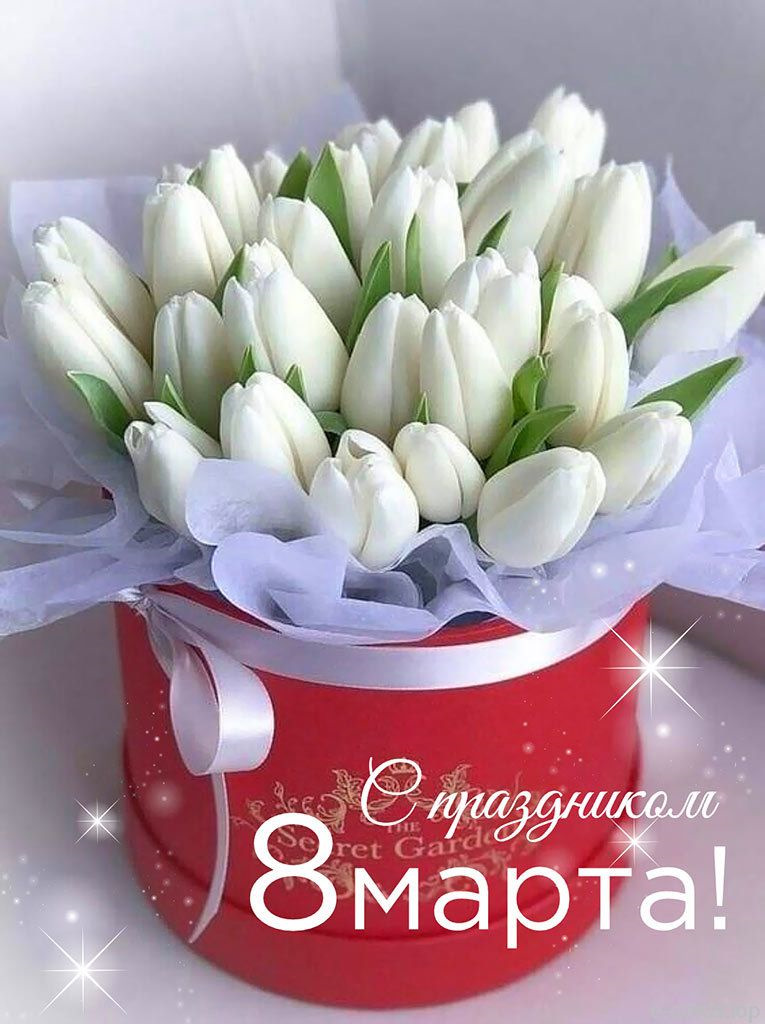 С Праздником 8 марта прекрасных и милых женщин! — DRIVE2