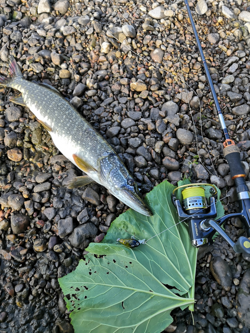 Запись, 19 июля 2021 — DRIVE2