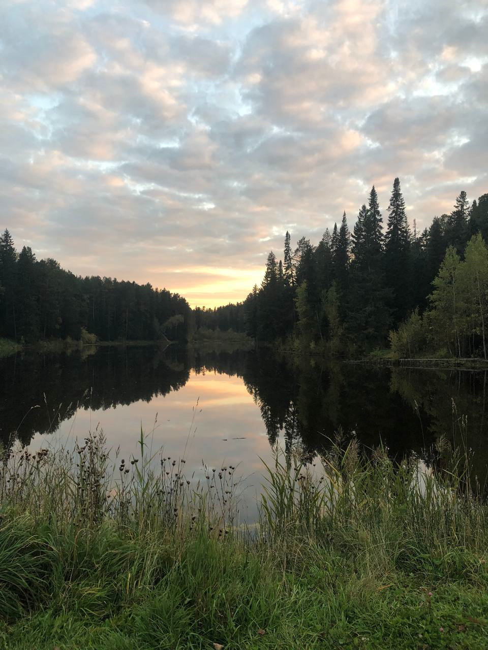 Chevrolet aveo t300 P0171 бедная смесь. — Chevrolet Aveo Sedan (2G), 1 ...