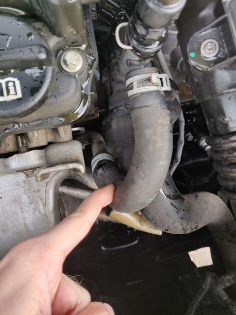 55565952 Шланг маслоохладителя GM | Запчасти на DRIVE2