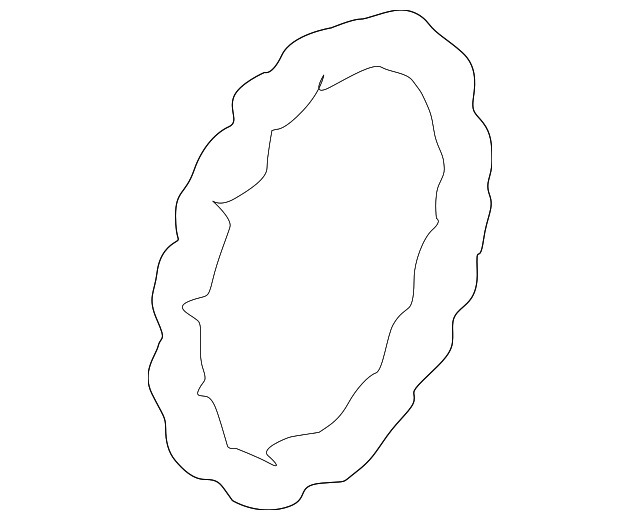 N90136802 Прокладка термостата (60x3,5mm) / Audi, Seat, Skoda, VW VAG ...