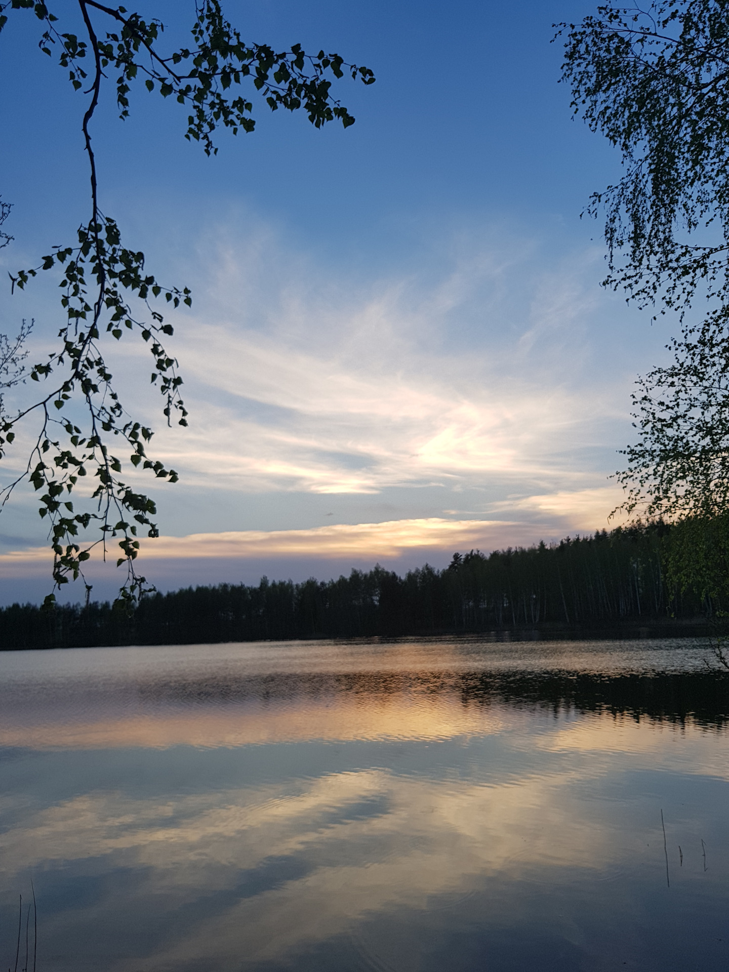 CHECK BRAKE LIGHTS или Не всё так просто;). — BMW 5 series (E39), 3 л., 2002 года | электроника ...