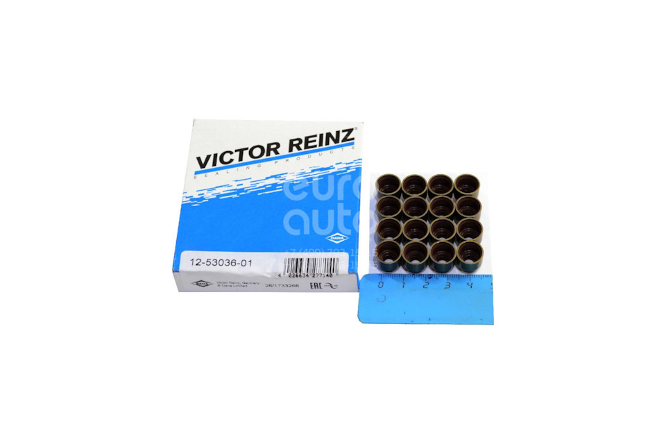 125303601 Комплект прокладок, стержень клапана VICTOR REINZ | Запчасти ...