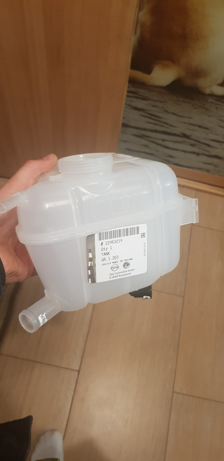 22953219 Бачок расширительный системы охлаждения GM | Запчасти на DRIVE2