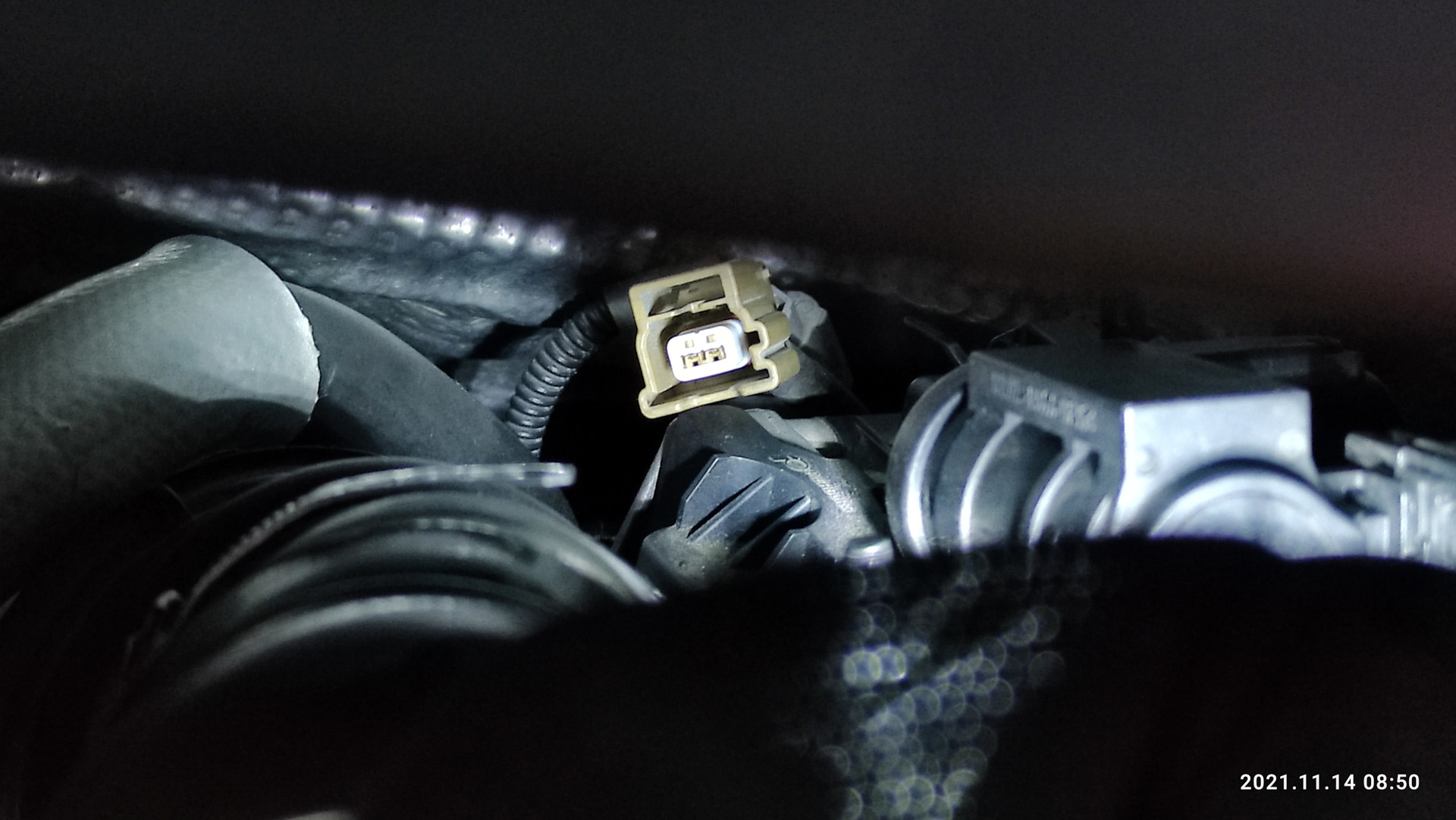 P0545. Продолжение. Временное решение. — Renault Scenic III, 1,5 л ...