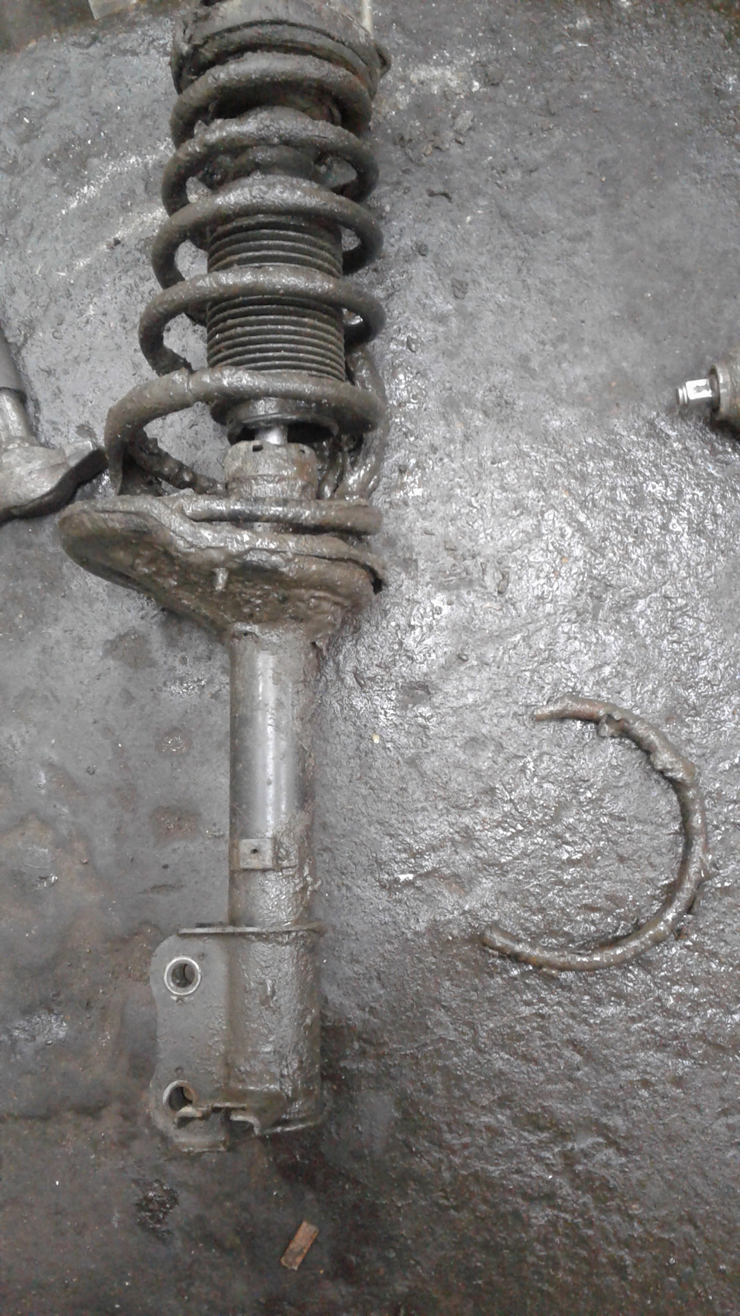 Пружины ( Не было бы печали ) — Hyundai Accent (2G), 1,5 л, 2005 года ...