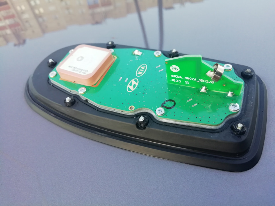 Не намывайте! — KIA Rio X-Line, 1,6 л, 2019 года | поломка | DRIVE2