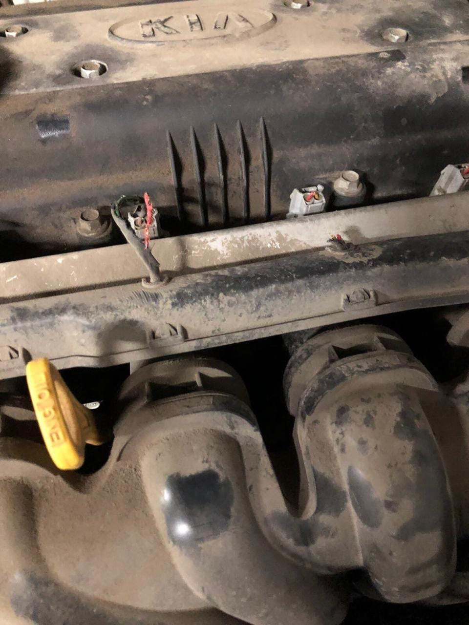 Гости под капотом — TechService на DRIVE2