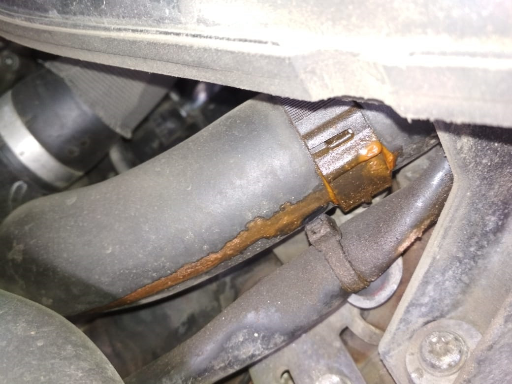 Первый осмотр — Volkswagen Beetle (A5), 2 л, 2013 года | визит на ...