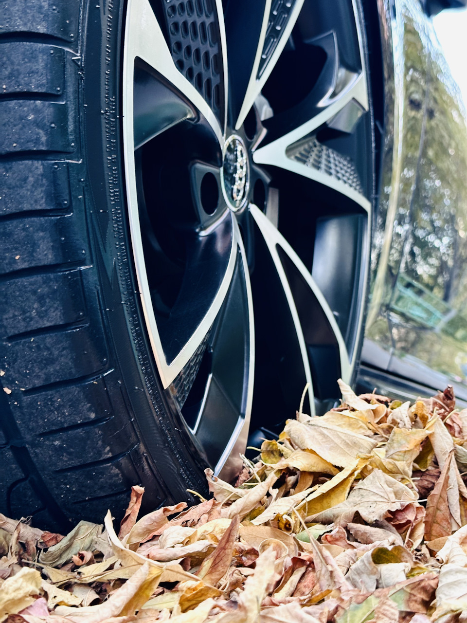 Гарантийные обязательства — Audi A4 (B9), 2 л, 2019 года | визит на ...