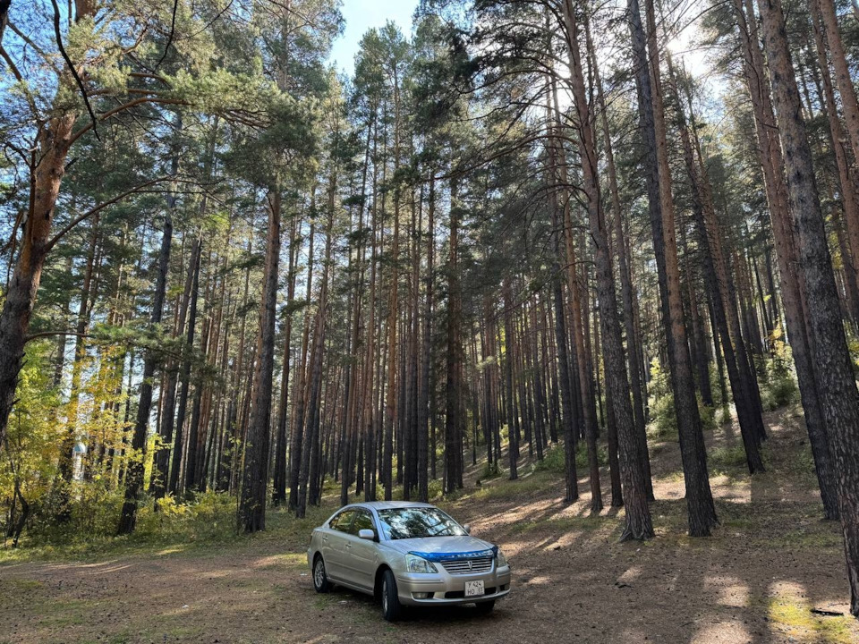 11. Отзыв Premio 240 — Toyota Premio (T240), 1,8 л, 2004 года ...